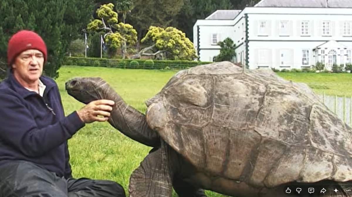 World’s oldest living land animal: 194-year-old tortoise who is older ...