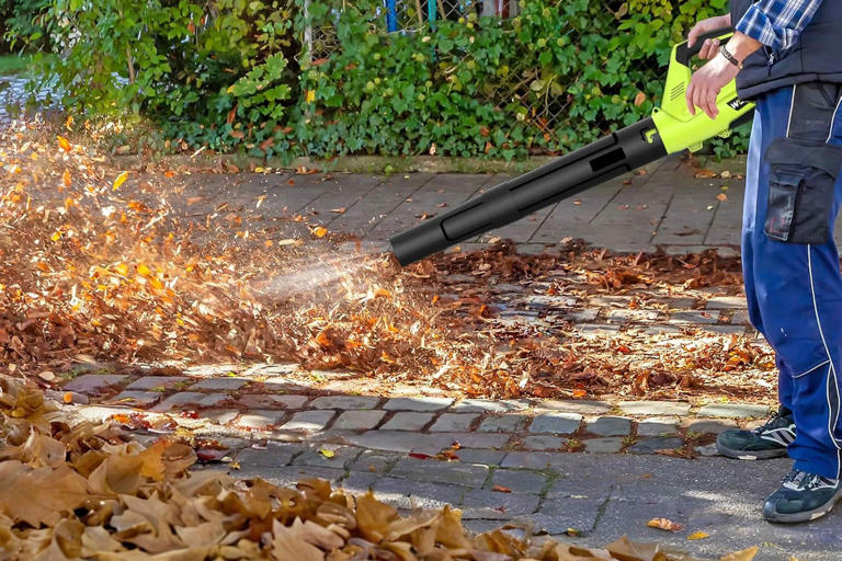 Amazon’s No. 1 best-selling cordless leaf blower makes yard cleanup ...