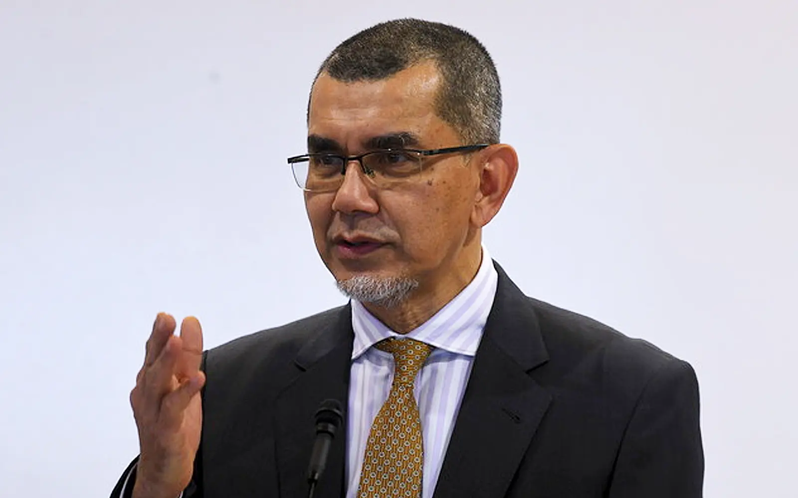 Malays can't just wait for handouts, says ex-Proton CEO