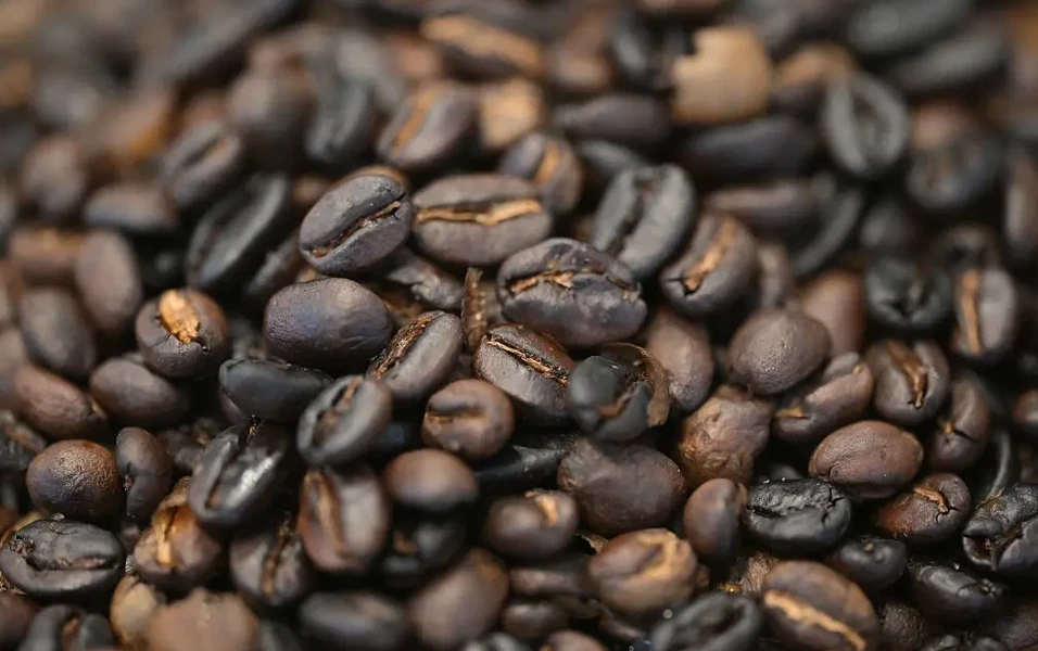Study links coffee compounds to anti-aging protein activity