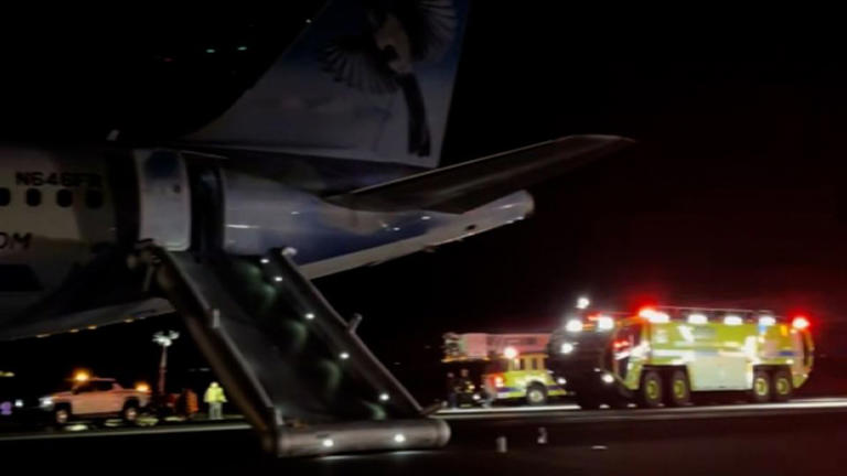 Person who jumped perimeter fence is hit and killed by Frontier plane ...