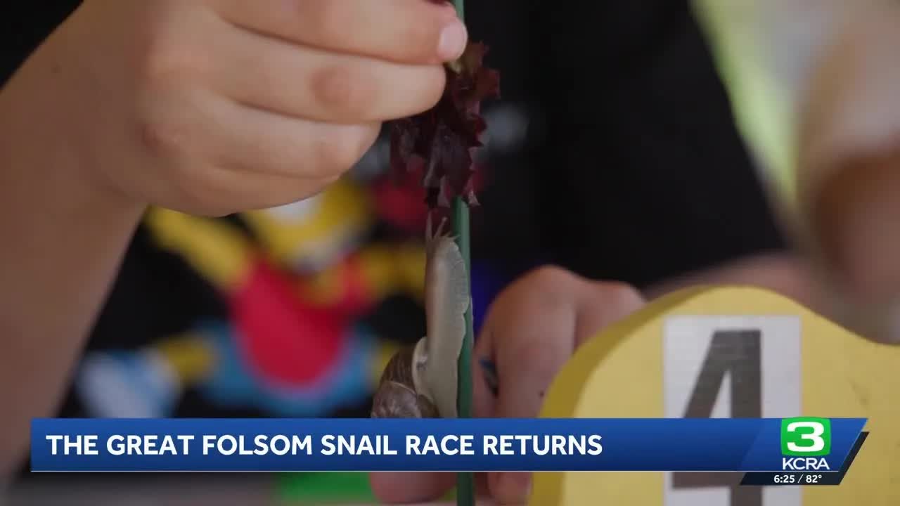 Snail race returns to Folsom after 20 years!