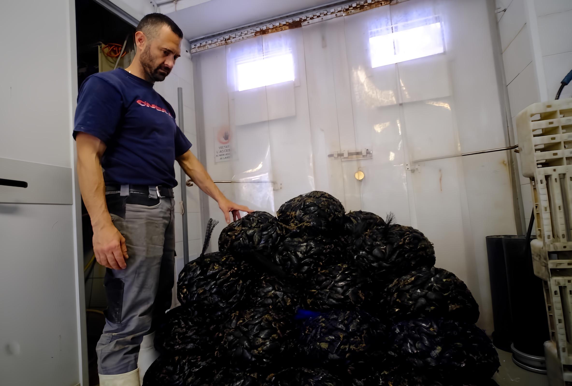 Slow Food preoccupata. Il sindaco convoca domani il tavolo tecnico