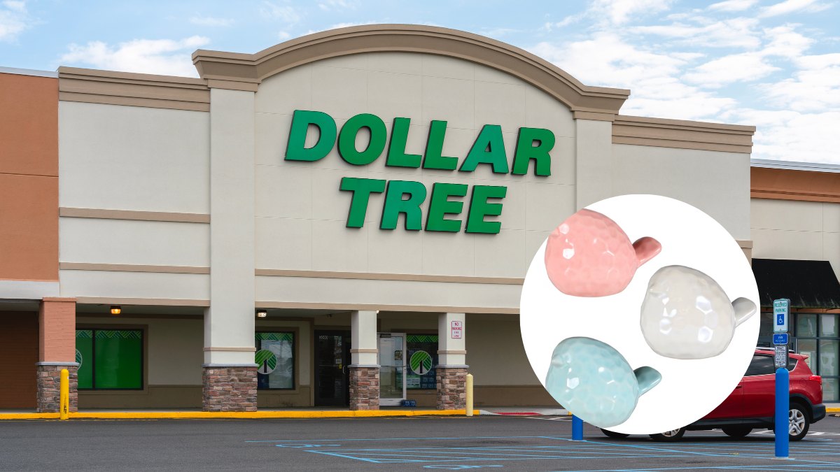 Dollar Tree's bird collection is under $5 and absolutely adorable!