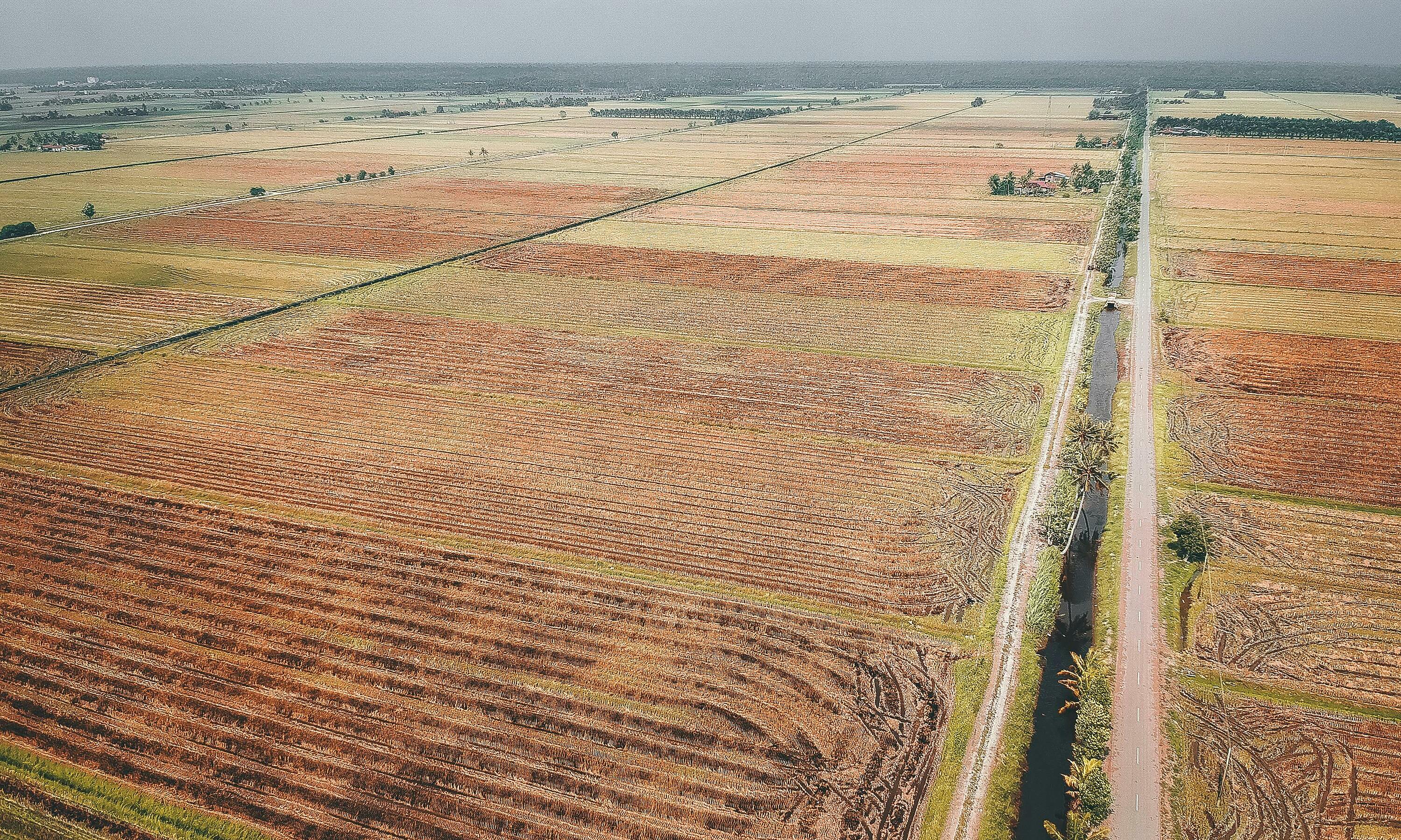 Malaysia plans cloud seeding for drought-hit 'rice bowl'