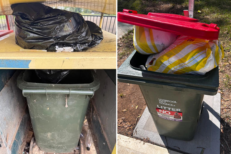 Aussies warned against illegal bin act that can attract $1,000 fines