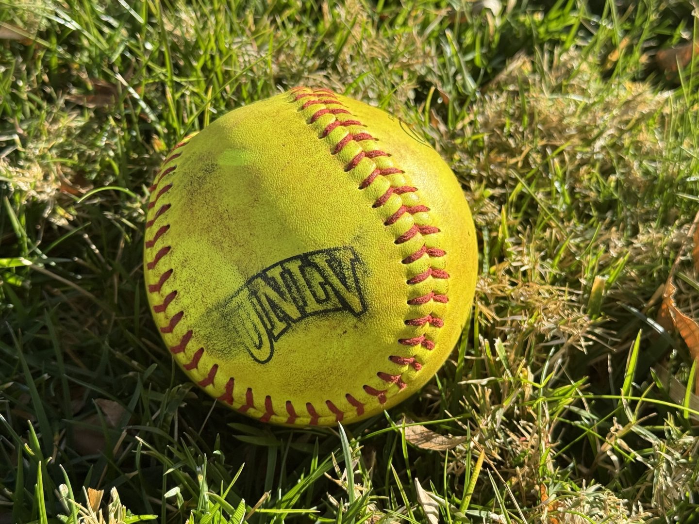 UNLV softball ends season as New Mexico shuts out Rebels 5-0