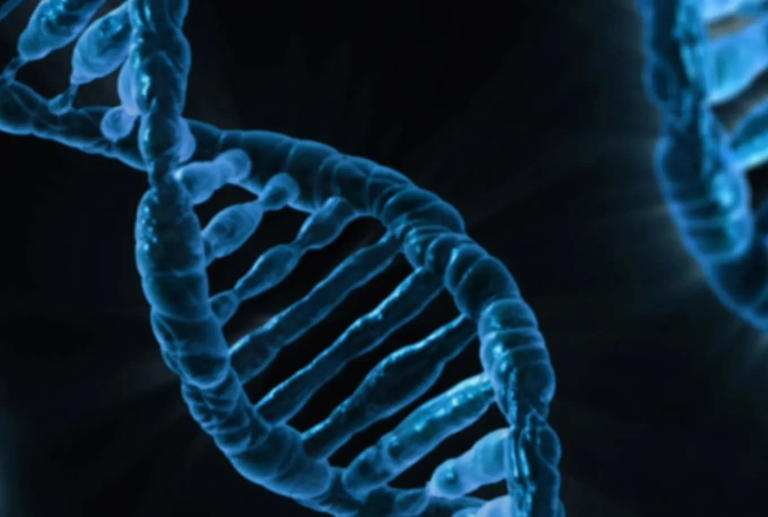 Scribe iniciará ensayo de CRISPR contra el colesterol