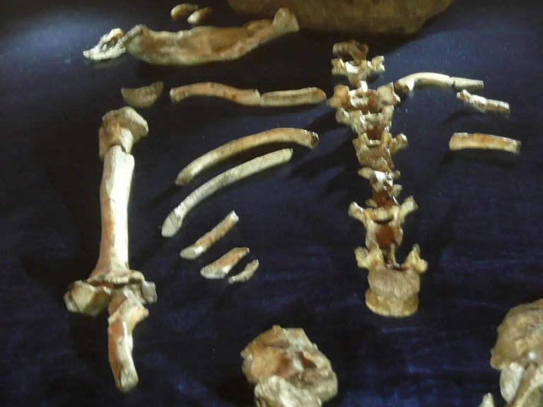 In 2008, a nine-year-old boy chasing his dog tripped over a rock and ...