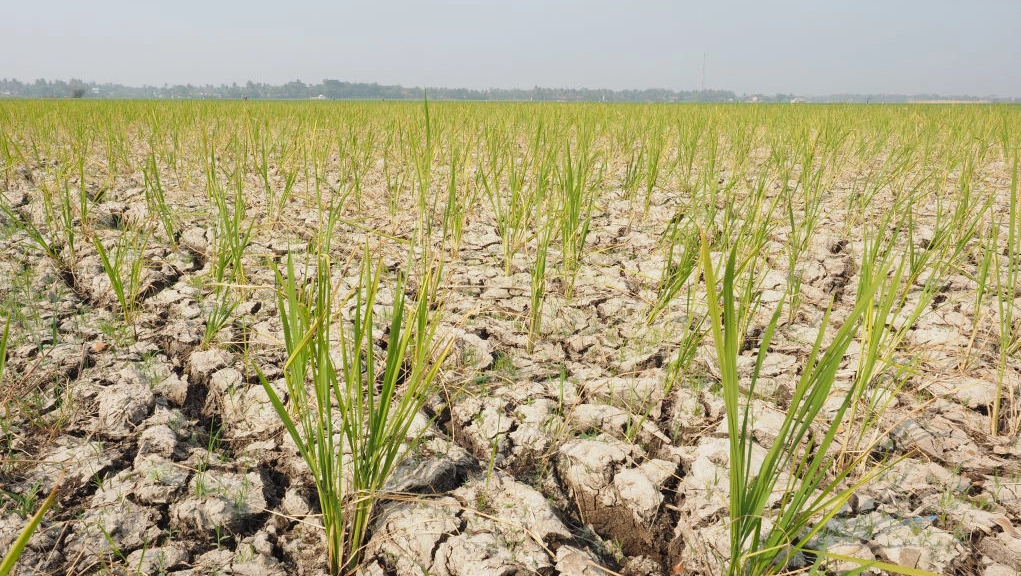 Models point to record-breaking 2026 super El Niño