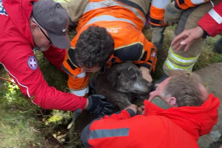 Daring rescue from 7m fall in Yorkshire caught on camera after 6-hour ...