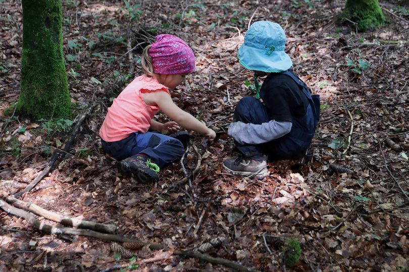 Kids forest adventure playground near Derby with pedal karts and pizza