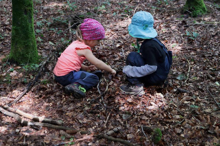 Kids forest adventure playground near Derby with pedal karts and pizza