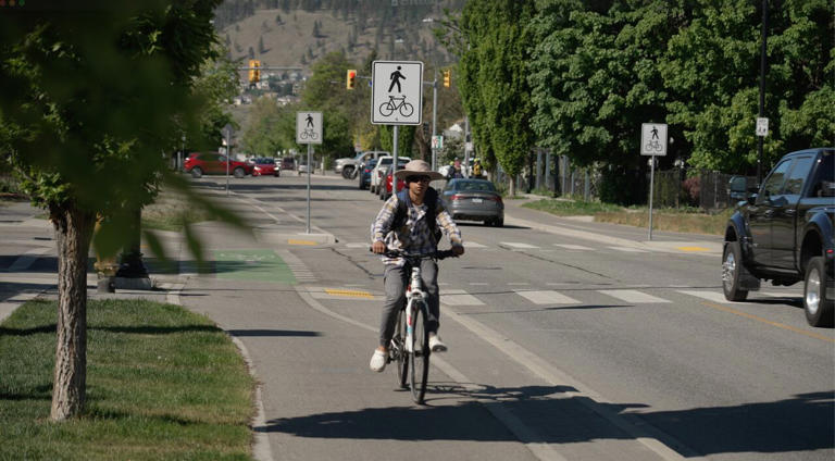 Removal of mature shade trees for downtown Kelowna bike lane project ...