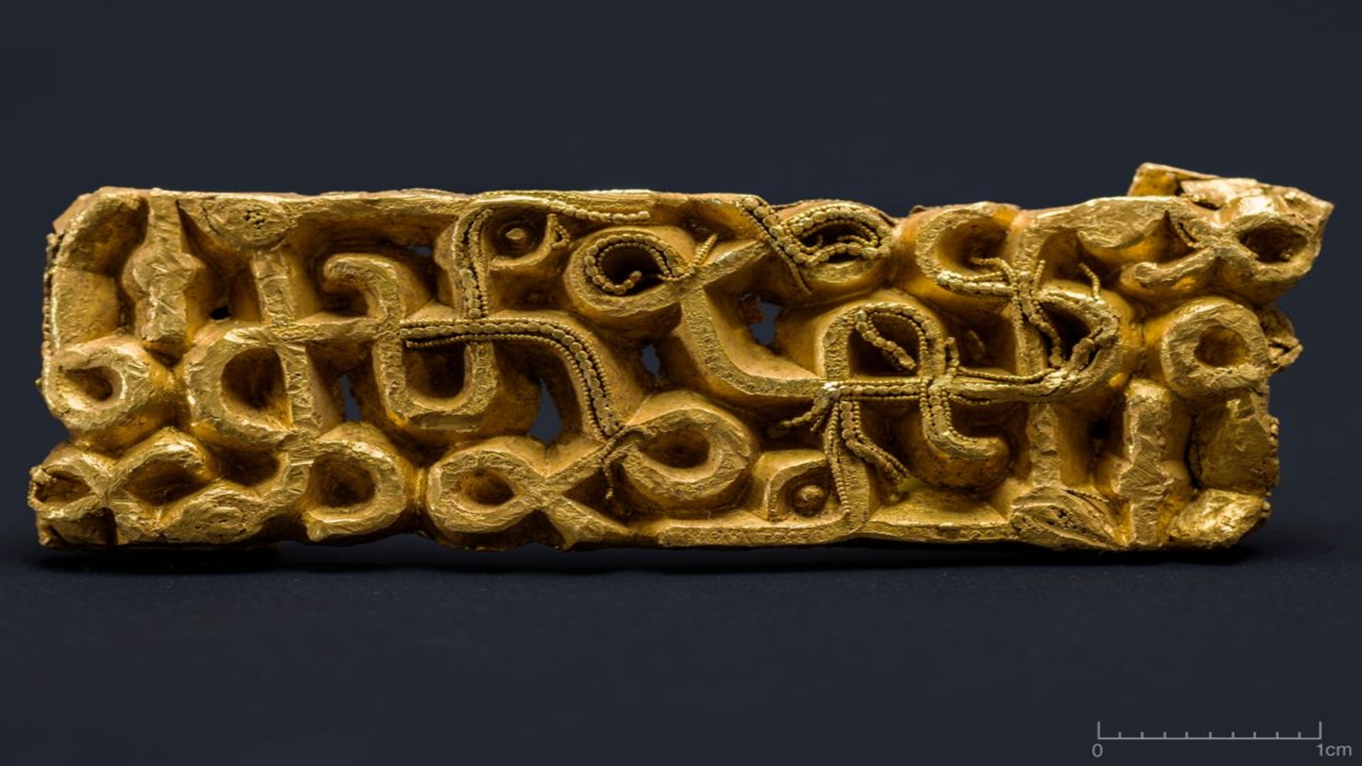 Rare 1,500-year-old warrior sword buckle found under a fallen tree in ...