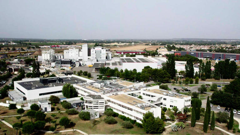 Un viaje al laboratorio de la fábrica francesa que produce más de ...