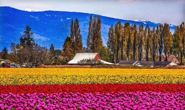 20 surreal places in America we want to visit before we die: What did ...