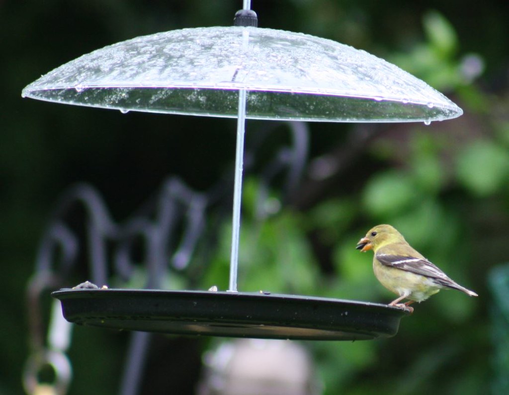 20 backyard wildlife habitat ideas that help local ecosystems