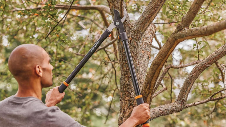 The 14 best Amazon gardening tools, according to customers