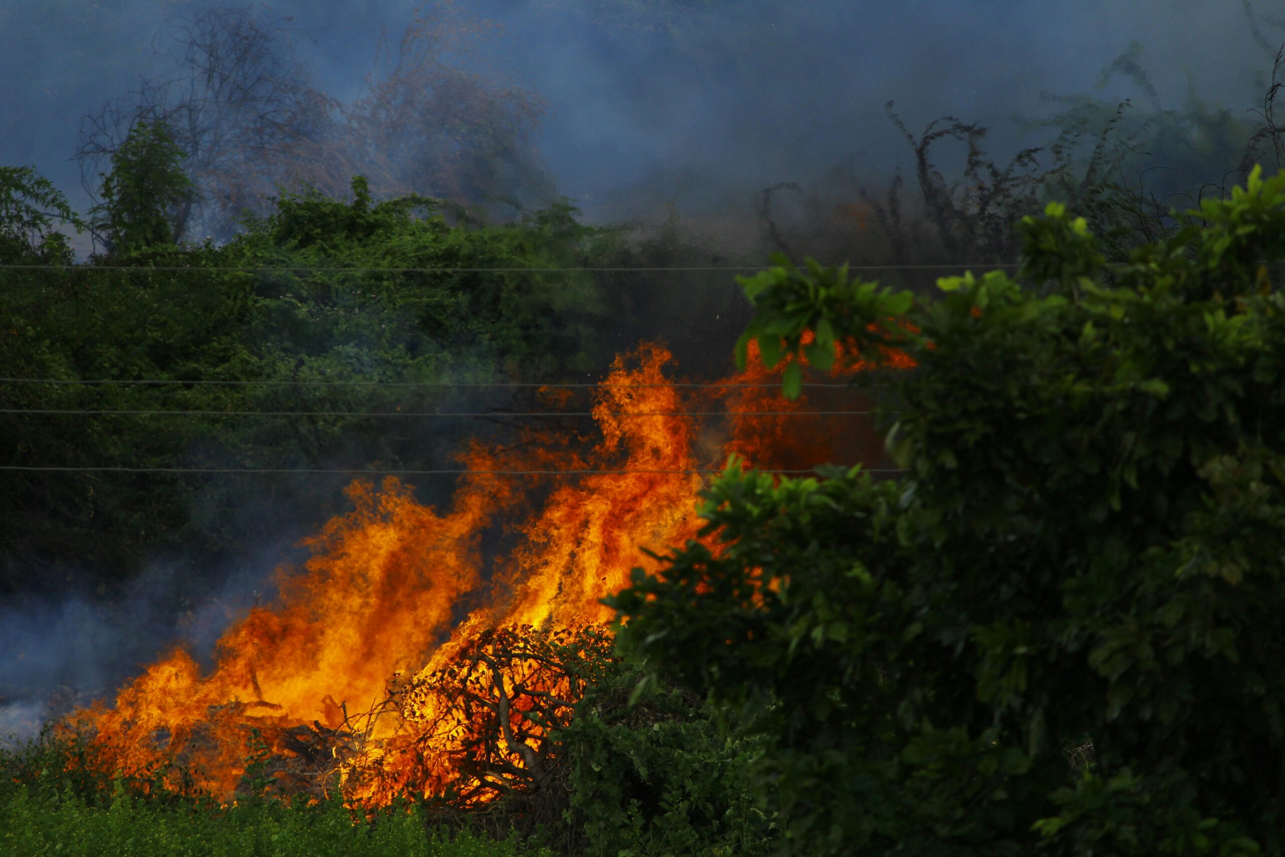 Wildfires race toward record levels