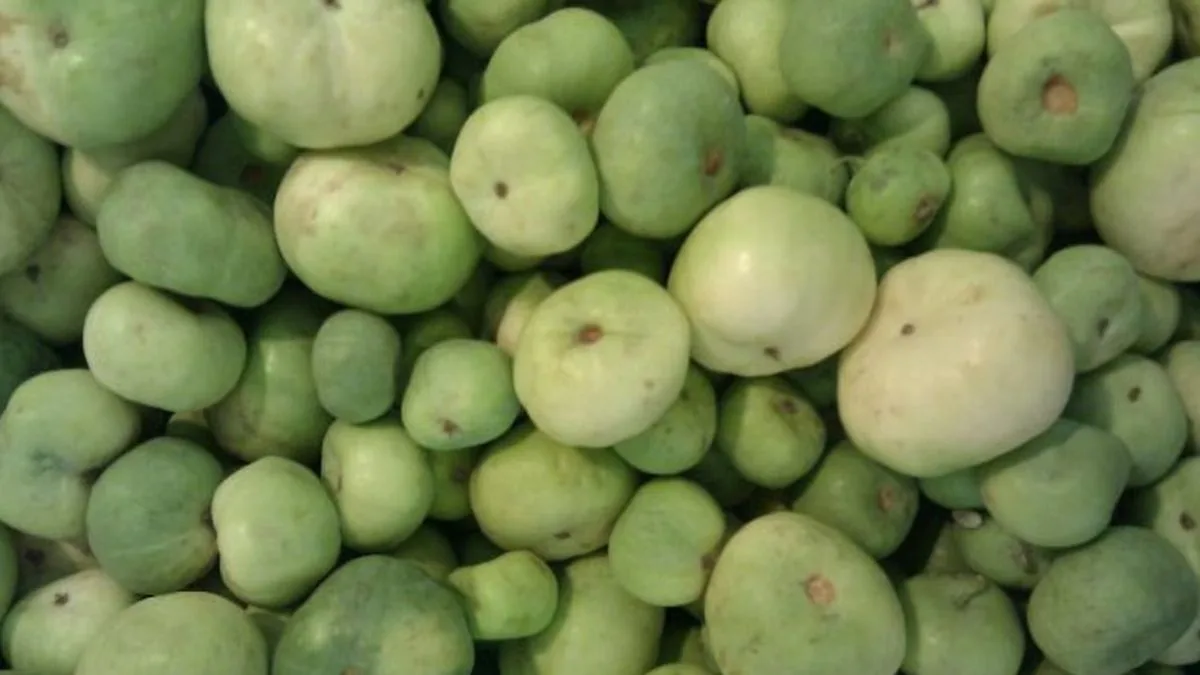 Tinda isn’t boring; your body actually loves it more than you think