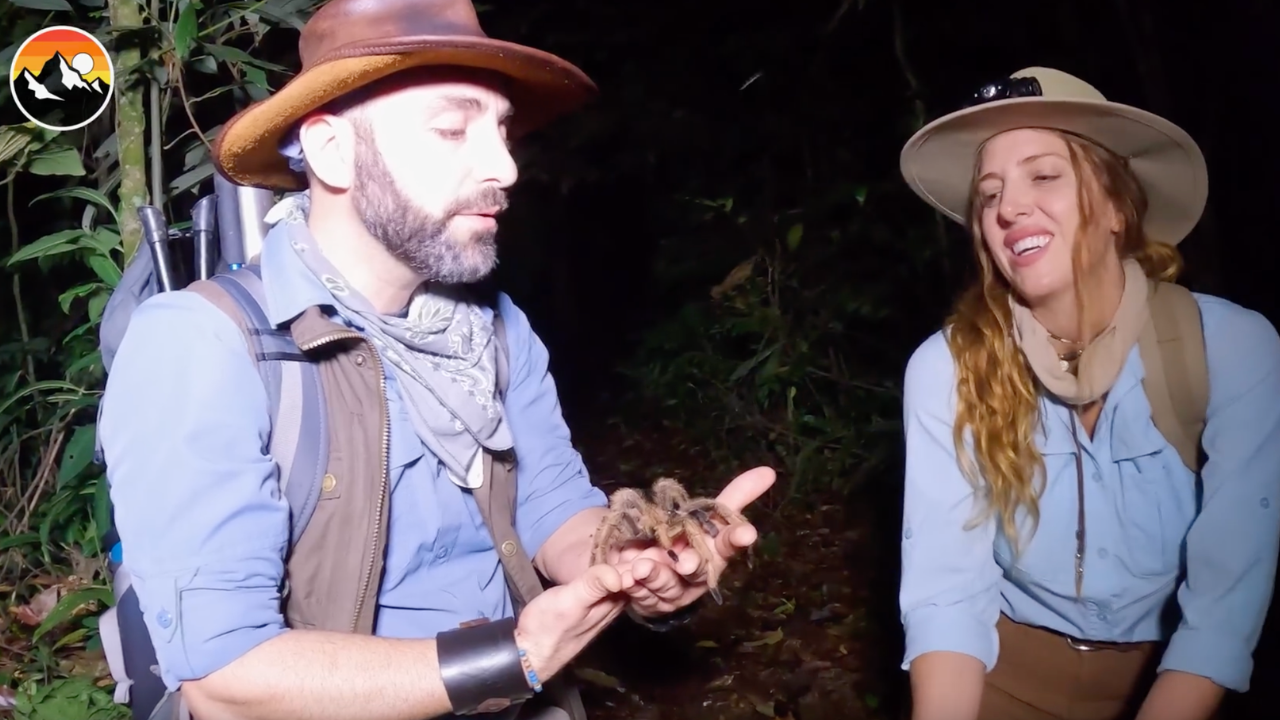 Giant spider found during wild expedition
