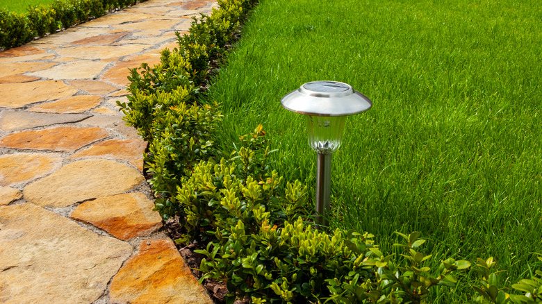 5 top rated outdoor solar lights to liven-up the yard at night