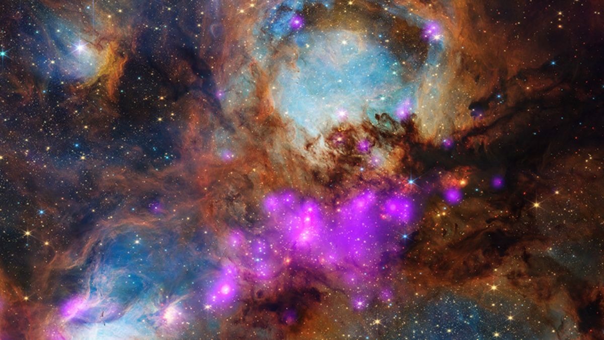 A-meow-zing: Webb and Chandra scratch surface of Cat's Paw Nebula. See pic