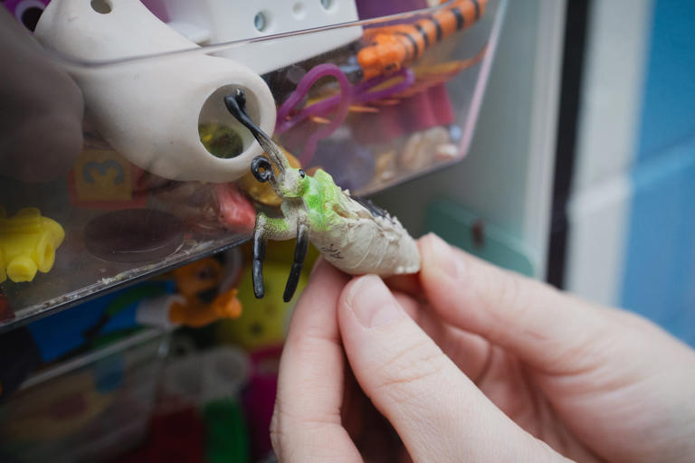 Alabama restaurant’s trinket box brings joy to visitors: 'It just feels ...
