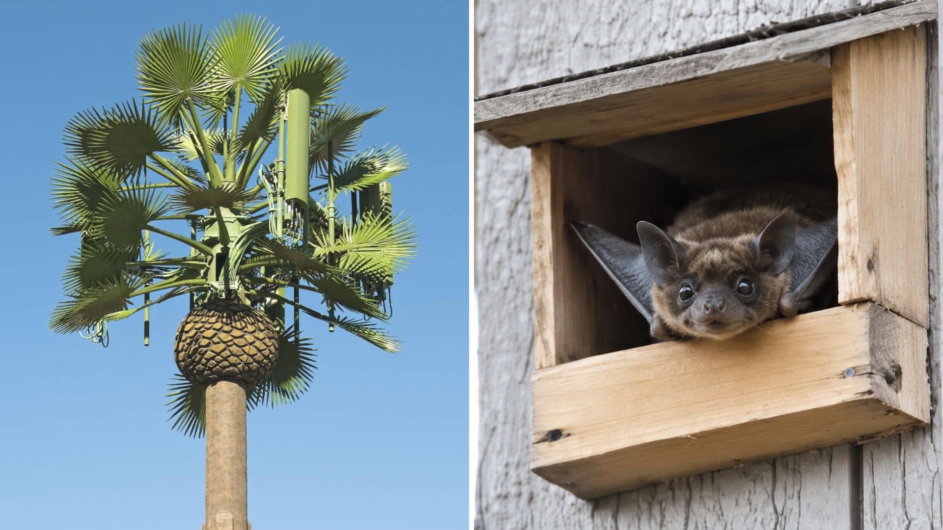 Hidden urban design features you might miss if you aren’t looking