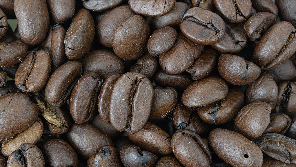 Study links coffee compounds to anti-aging protein activity