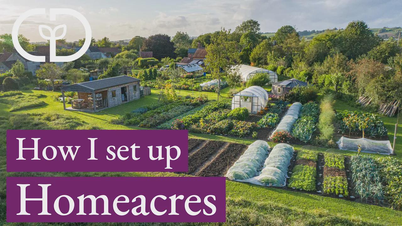How I designed Homeacres no dig garden: Layout tips for beds, paths ...