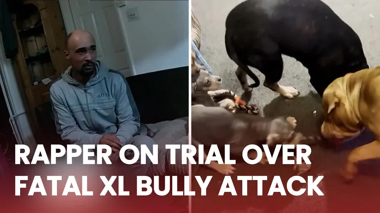 Rapper on trial over fatal XL bully attack criticizes dog laws during ...