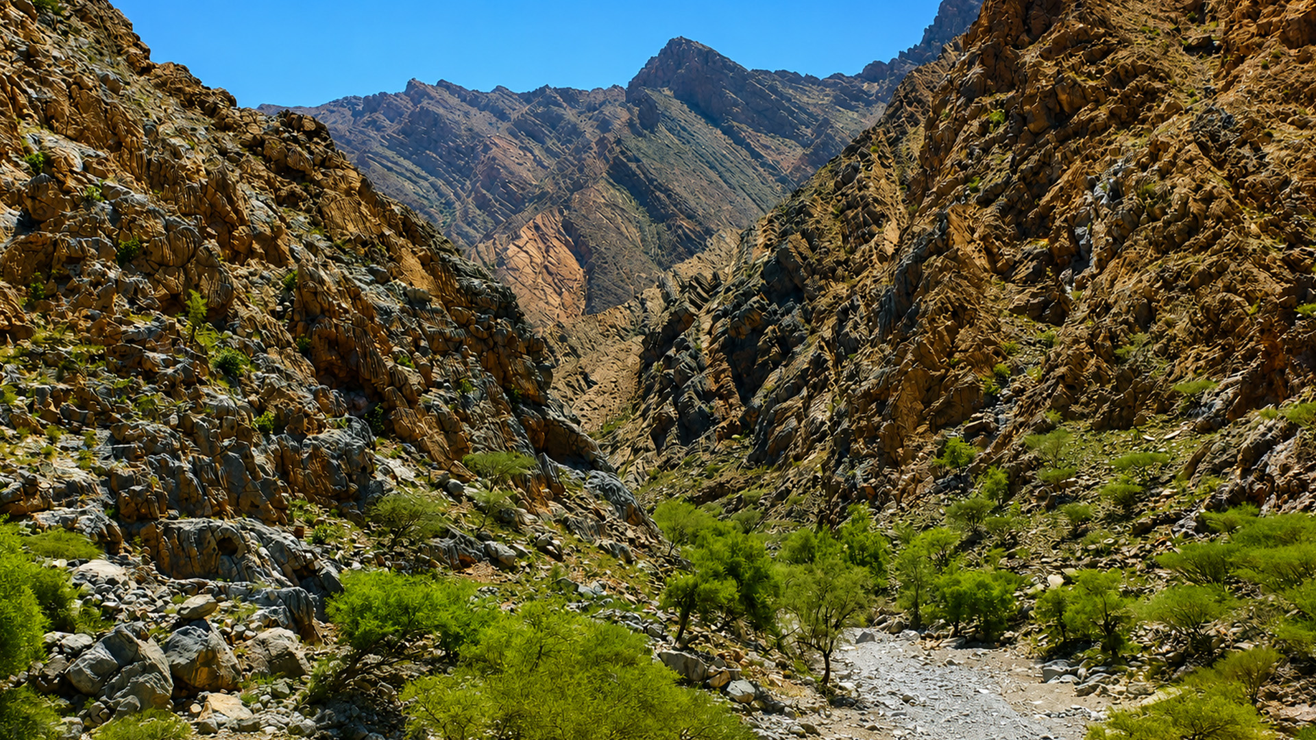 This harsh landscape looks almost uninhabitable
