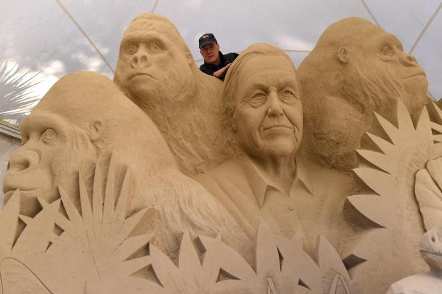 Incredible sand sculpture honours the legendary Sir David Attenborough