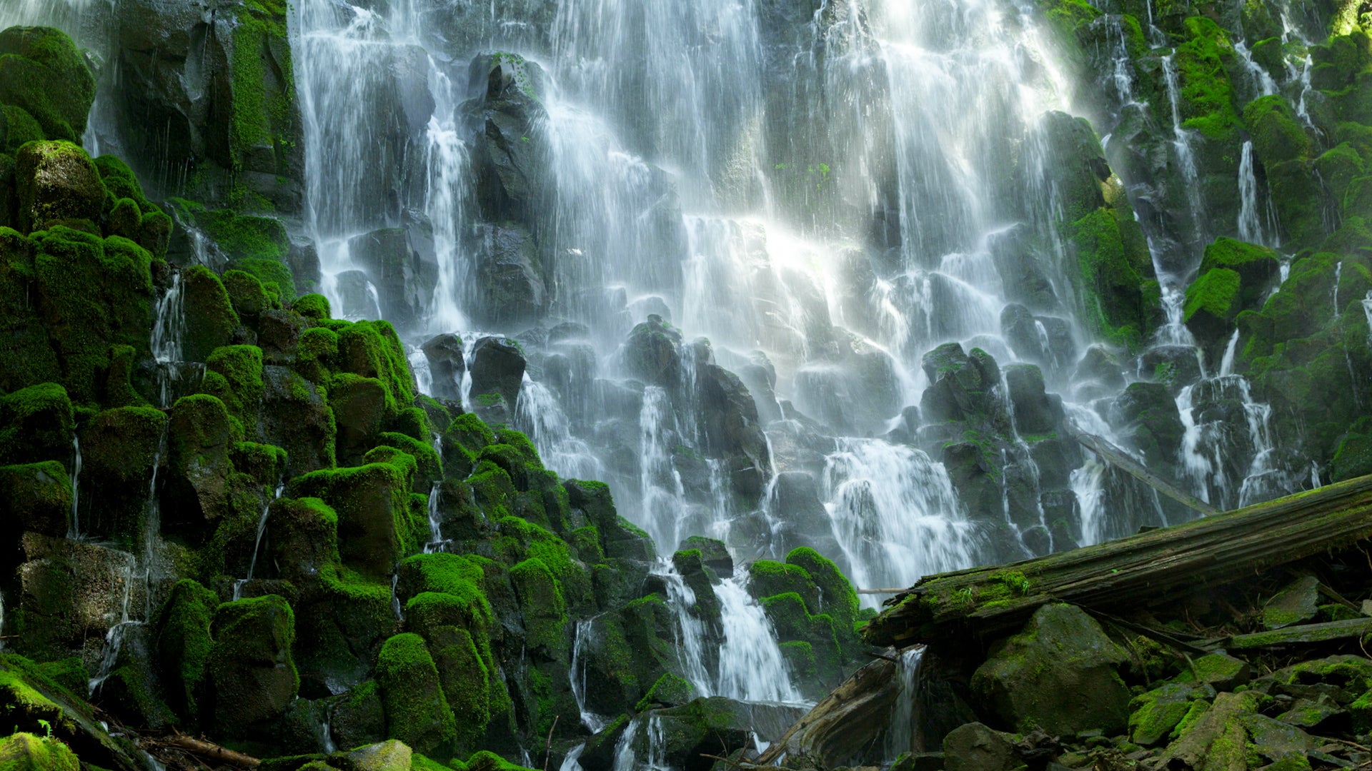 The Earth’s first mother: Mother Nature
