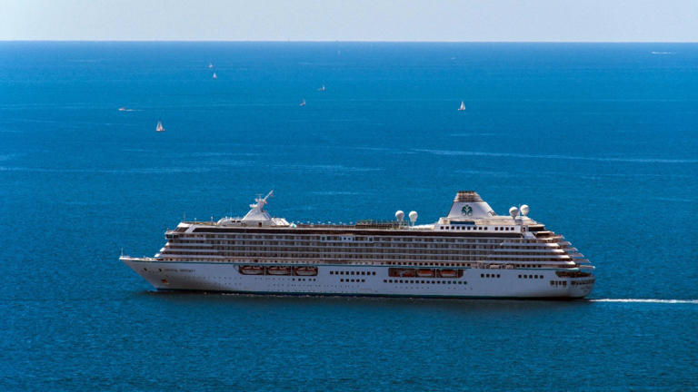 Hantavirus outbreak on a cruise ship has killed 3 and infected ...