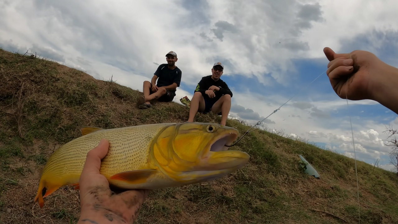 Increíble captura de dorado durante un gran viaje de pesca