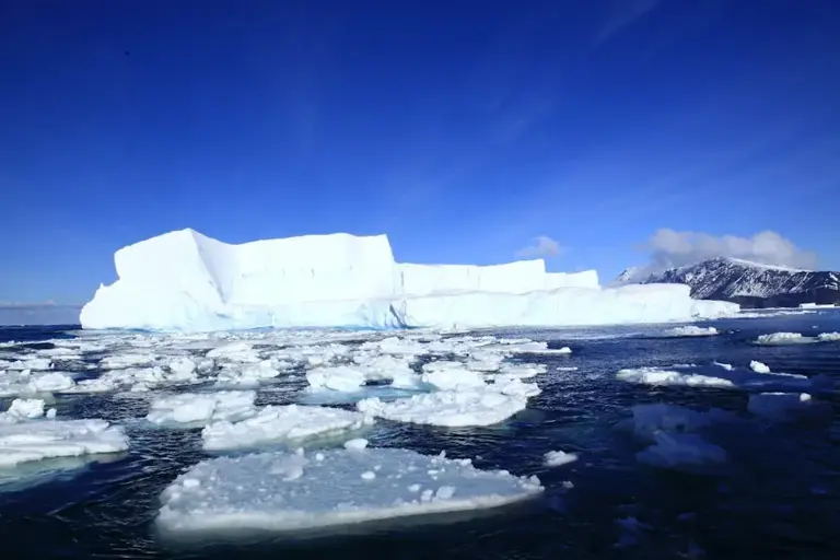 5 disturbing truths about America's disappearing natural wonders that ...