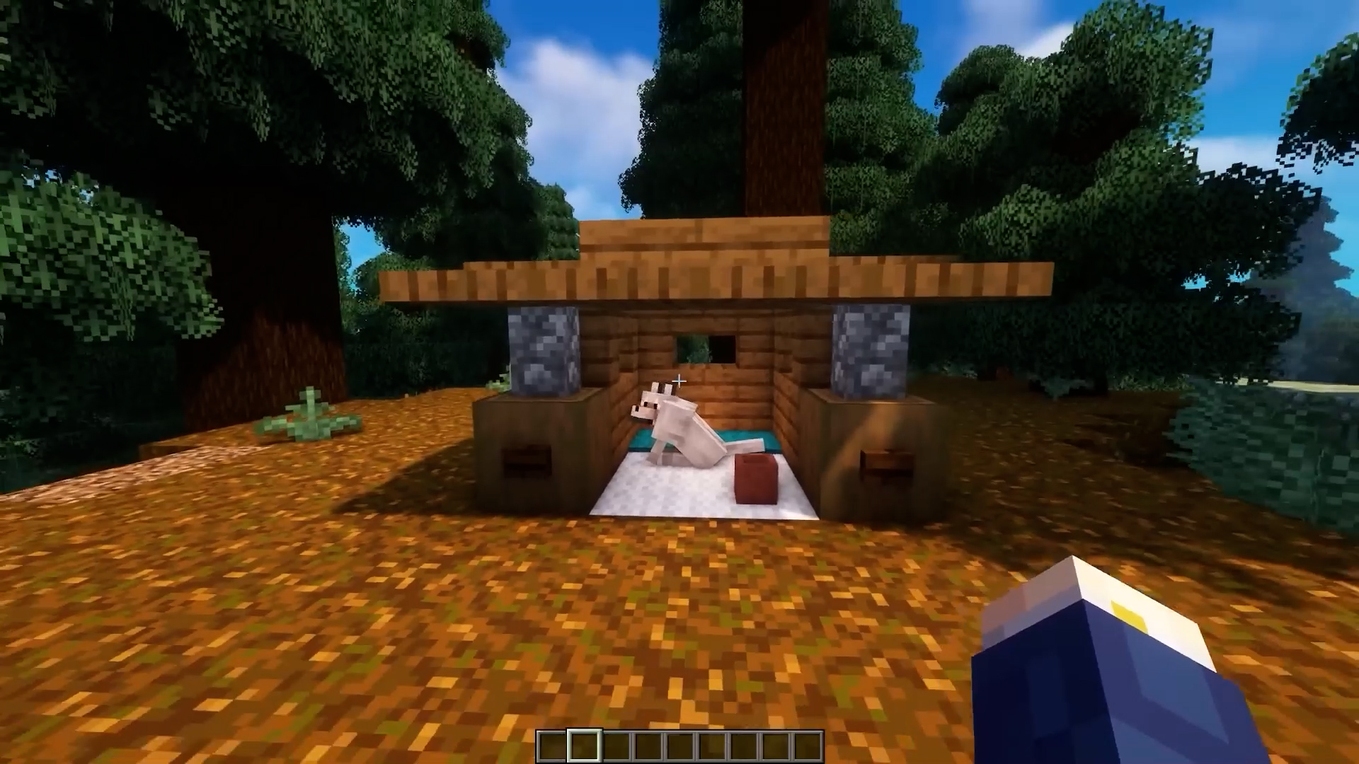 Build small animal shelters for dogs cats and pets