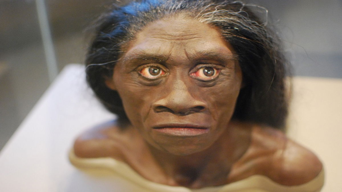 Científicos, desconcertados: descubren que hace 773.000 años existió ...