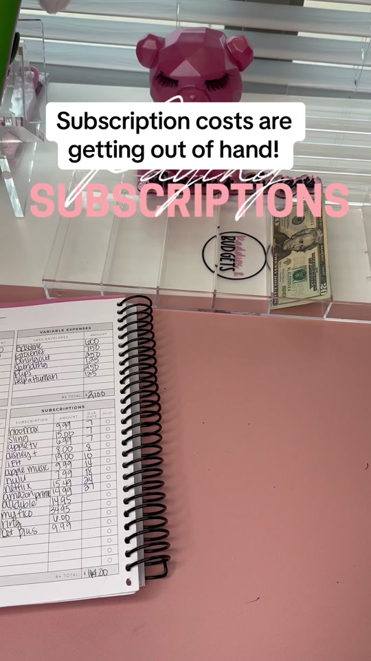 Stuffing cash envelopes to finally tame my streaming subscriptions