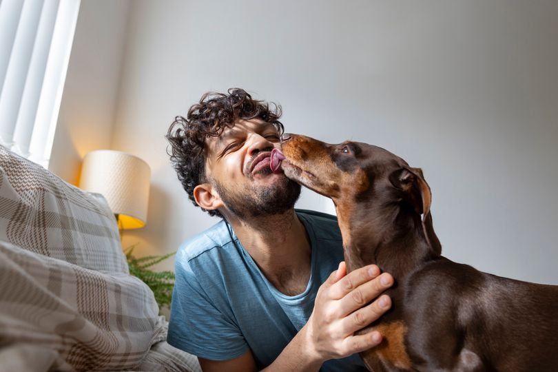 Vet explains the hidden meaning behind dogs licking, tail wags and smiles