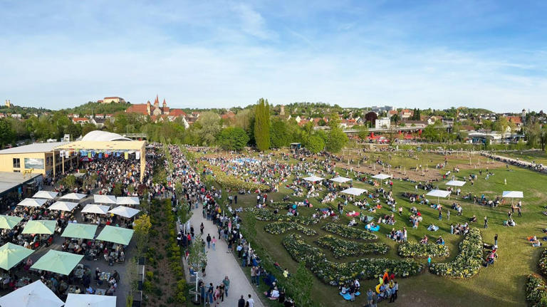 Bereits mehr als 100.000 Besucher auf der Landesgartenschau: "Es ist ...
