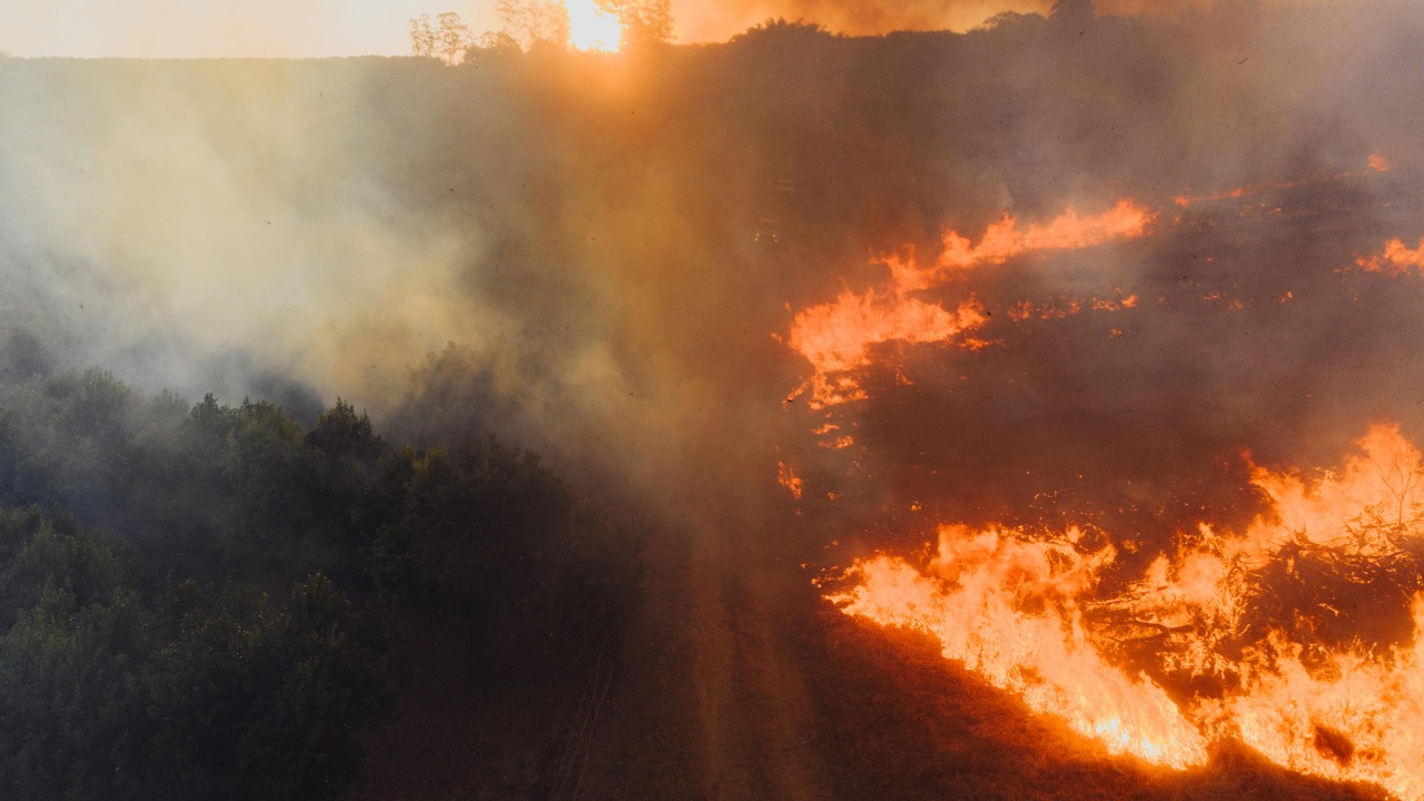 Georgia’s most destructive wildfire season in history has burned 55,000 ...