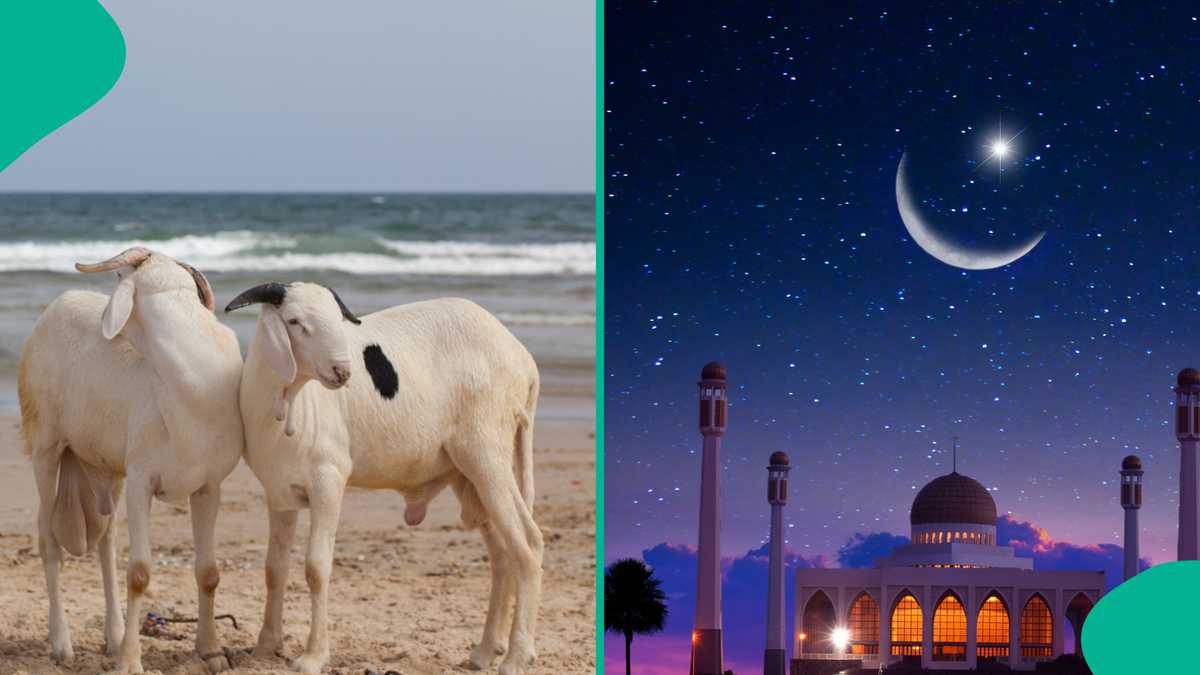 Eid al-Adha 2026: Nigeria’s likely holiday date revealed