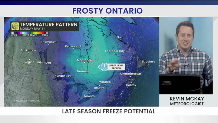 Frosty flowers concern for southern Ontario