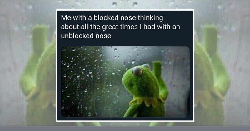 28 Kermit the Frog memes that belong in the Louvre