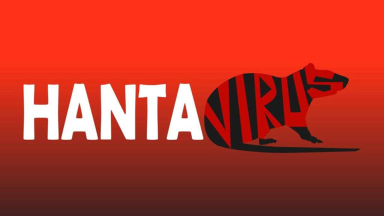 Conheça a síndrome respiratória grave causada pelo hantavírus explicada ...