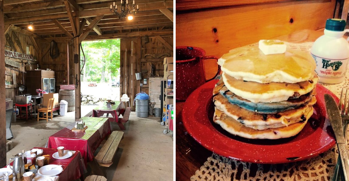 This charming New Hampshire farm serves breakfast with a petting zoo on ...